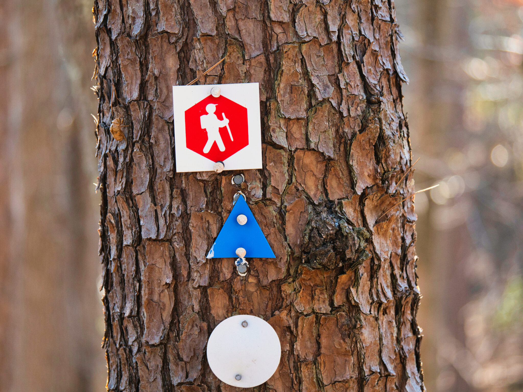 Reading Trail Markers and Signs – Reiser Trail Craft